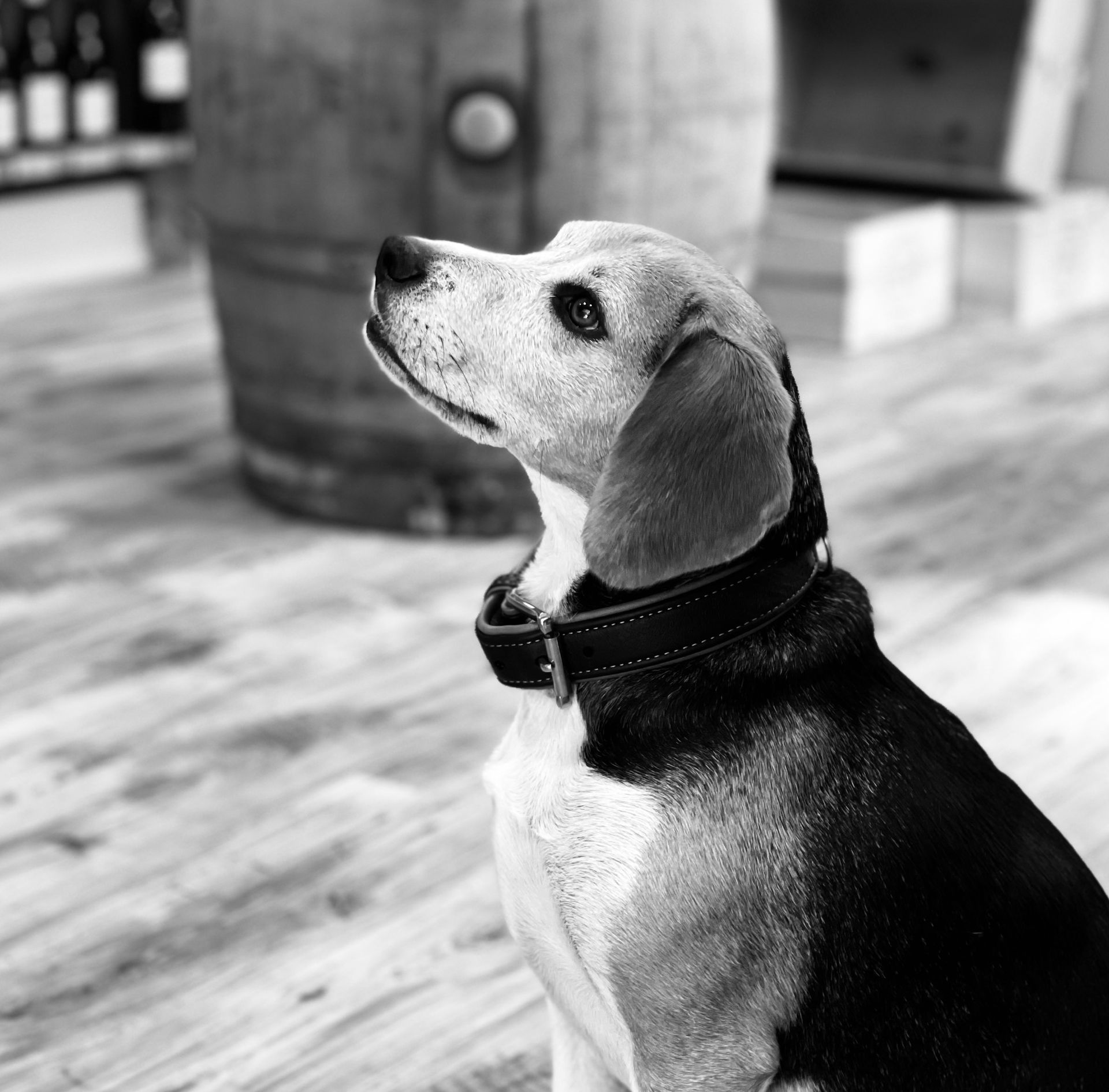 MEET THE TEAM | Sovereign Wines