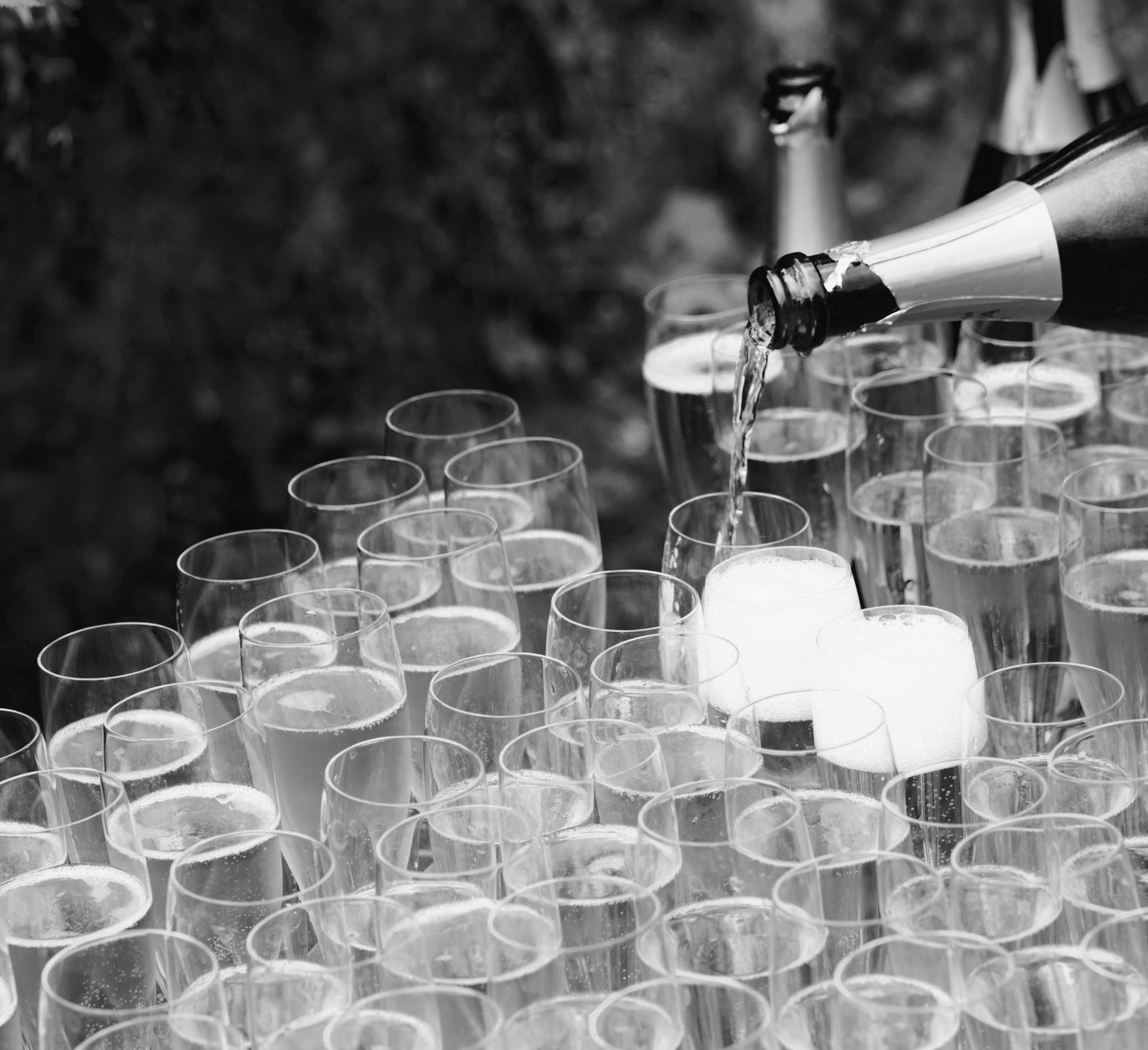 Annual Trade Tasting 2026 | Sovereign Wines